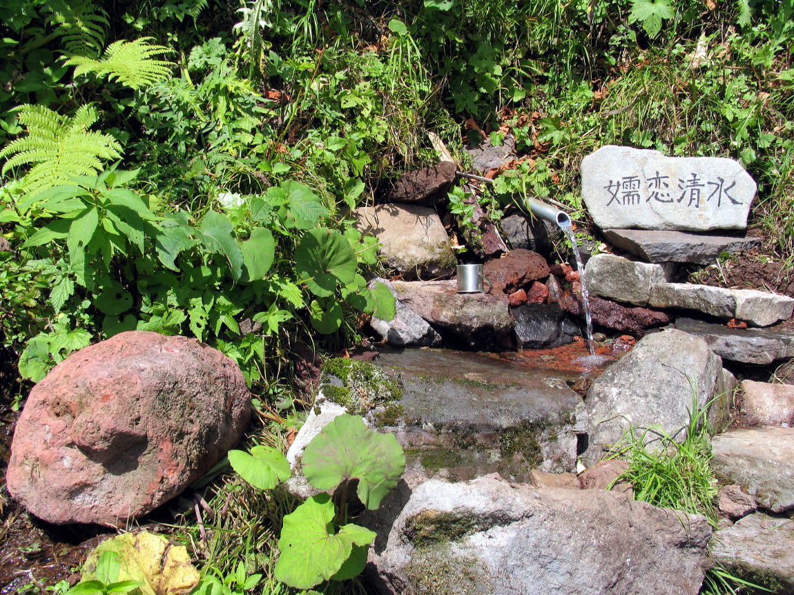 我が人生・履歴の森[688b]