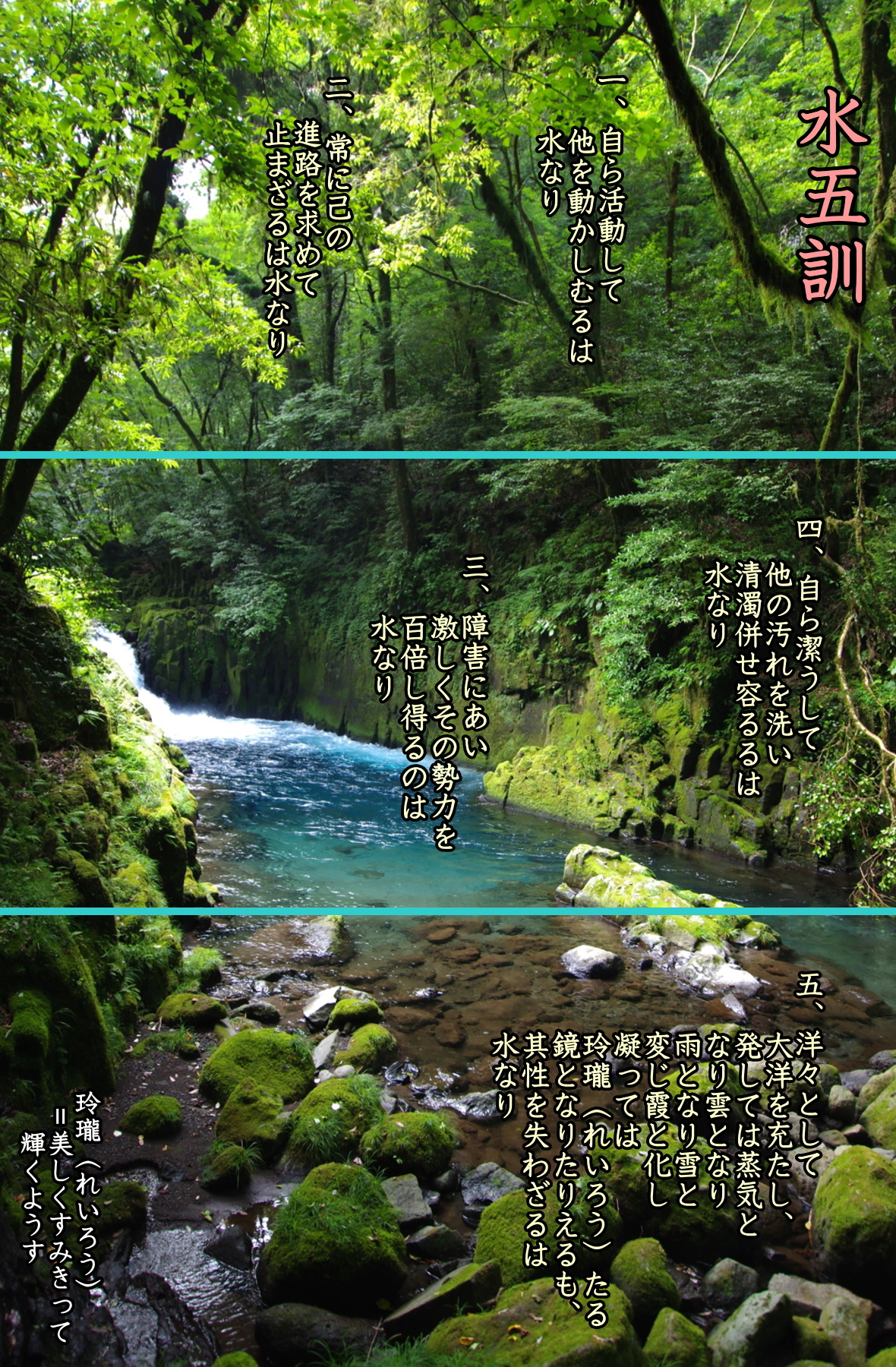 我が人生・履歴の森[688b]